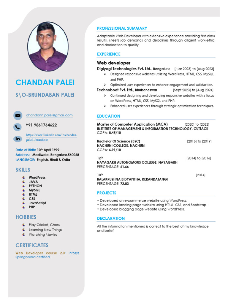 Chandan Resume (1) | PDF | Word Press | World Wide Web
