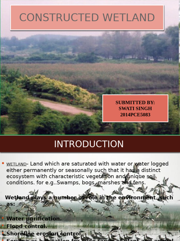 CONSTRUCTED WETLAND | PDF | Soil | Wetland