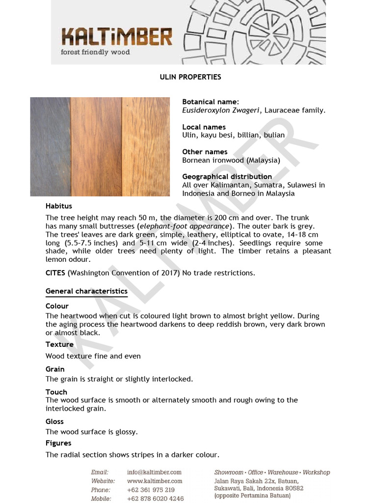 ULIN+PROPERTIES | PDF | Trees