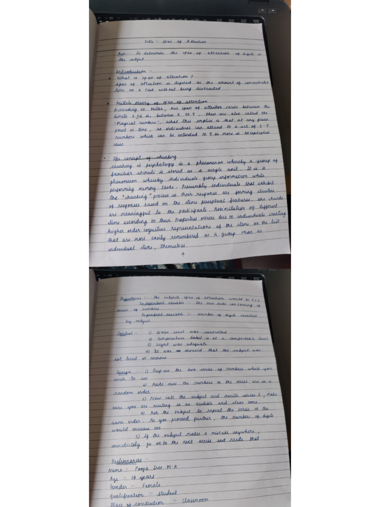 Attention Span | PDF