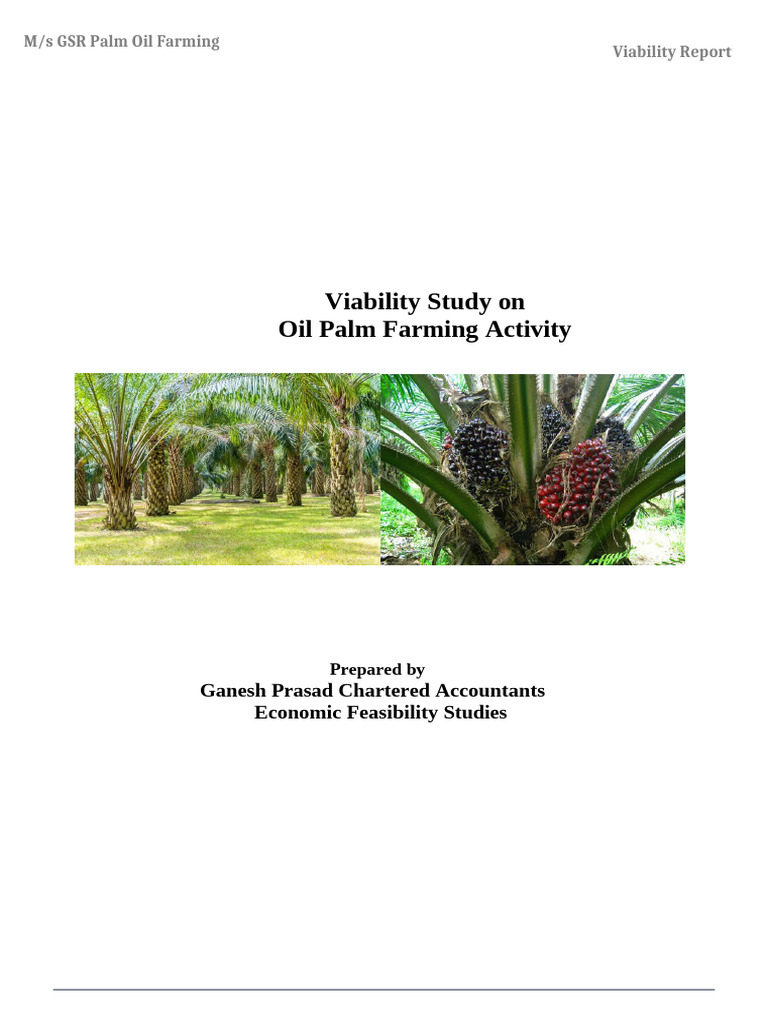 Oil Palm Vaibility Final | PDF | Palm Oil | Agriculture