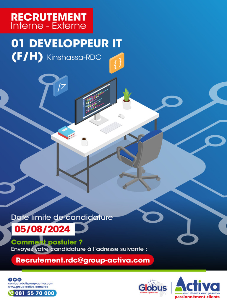 Offre (01) Développeur IT | PDF