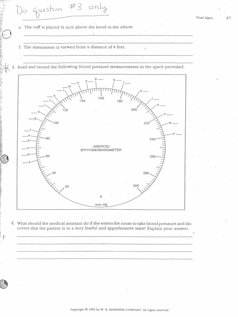 Readingthebloodpressuregaugeworksheet | PDF