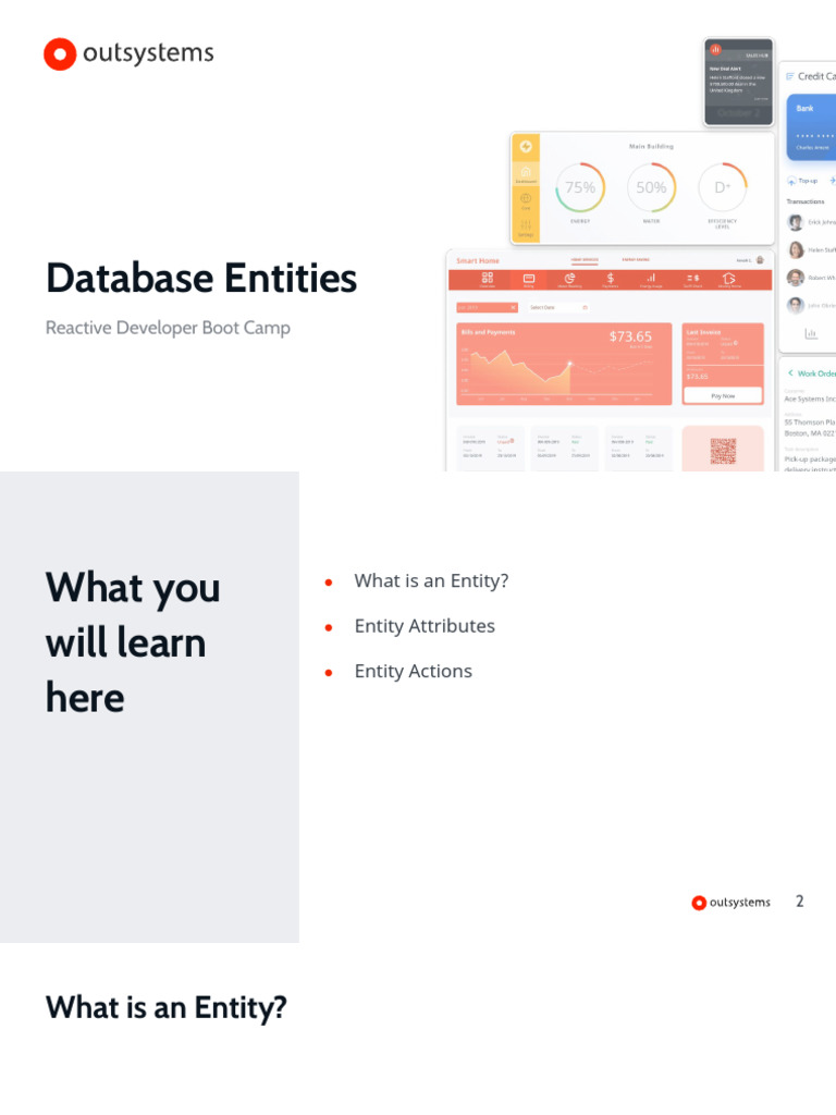 Database Entities | PDF