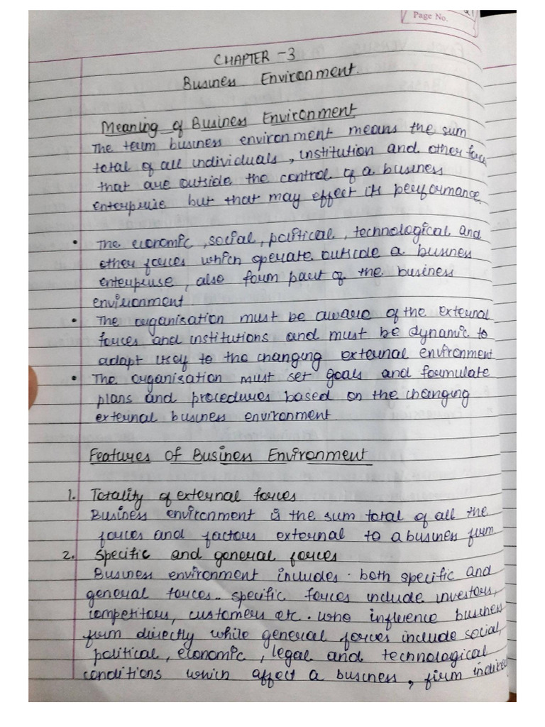 Bst Ch3 (Business Environment ) | PDF