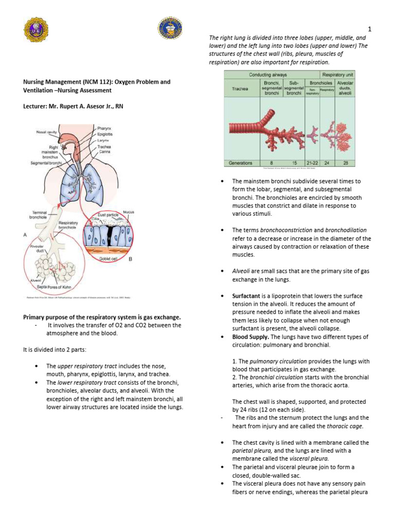VENTILATION | PDF | Respiratory Tract | Lung