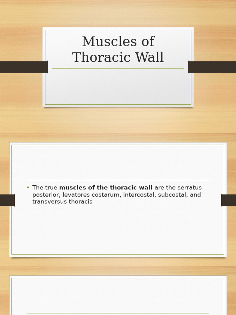 Muscles of Anterior Wall and Back | PDF