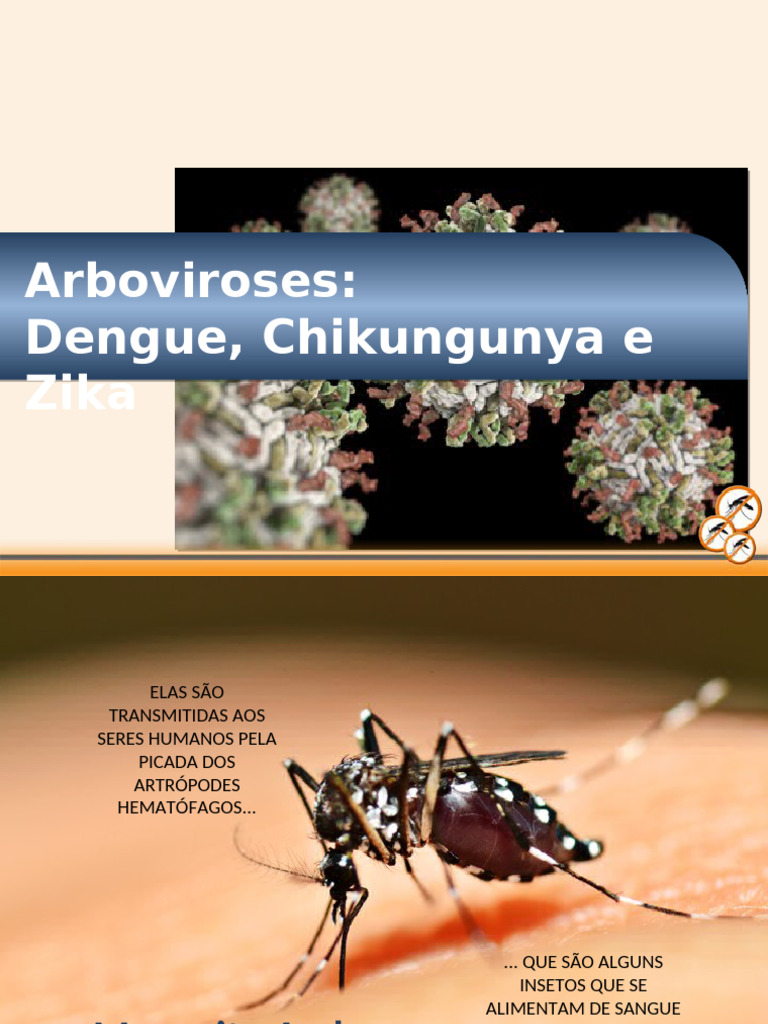 Arboviroses: Guia de Sintomas e Prevenção | PDF | Vírus da Zika ...