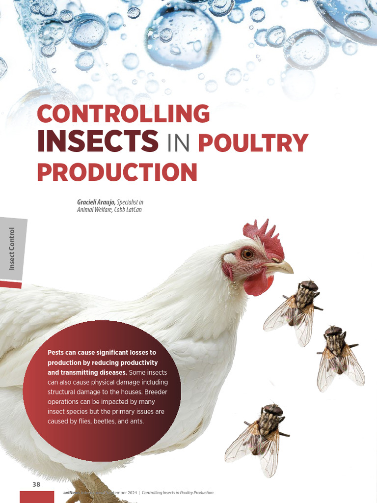 Controlling Insects in Poultry Production | PDF | Pest Control | Insects