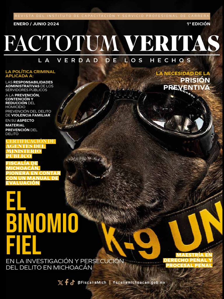 Factotum Veritas DIGITAL | PDF | Mandato | Debido al proceso
