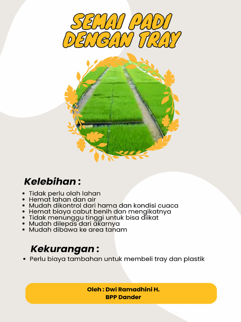 SEMAI PADI DENGAN TRAY | PDF