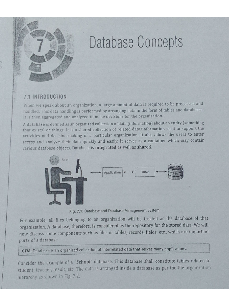 CH 7 Databases Concept | PDF
