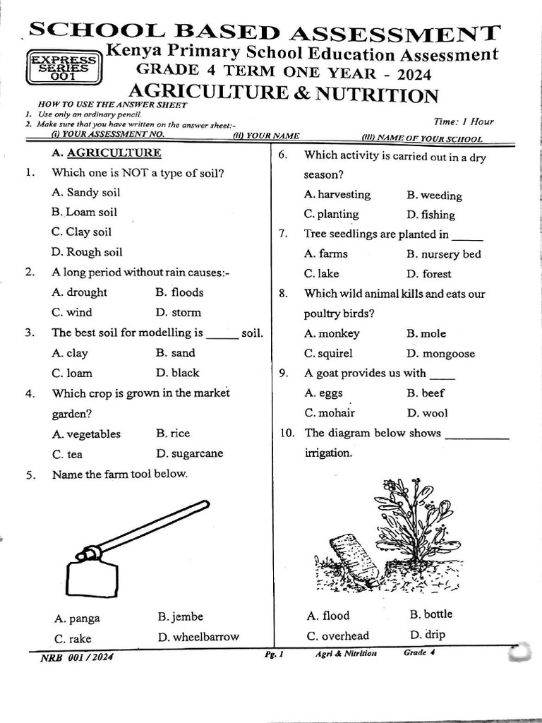 Grade 4 SBA 001 Agri and Nutrition | PDF
