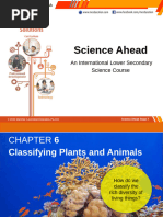 Scottie Dog Sign (Spine) Radiology Reference Article | PDF | Vertebral ...