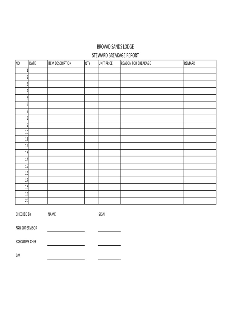 Steward Breakage Report | PDF