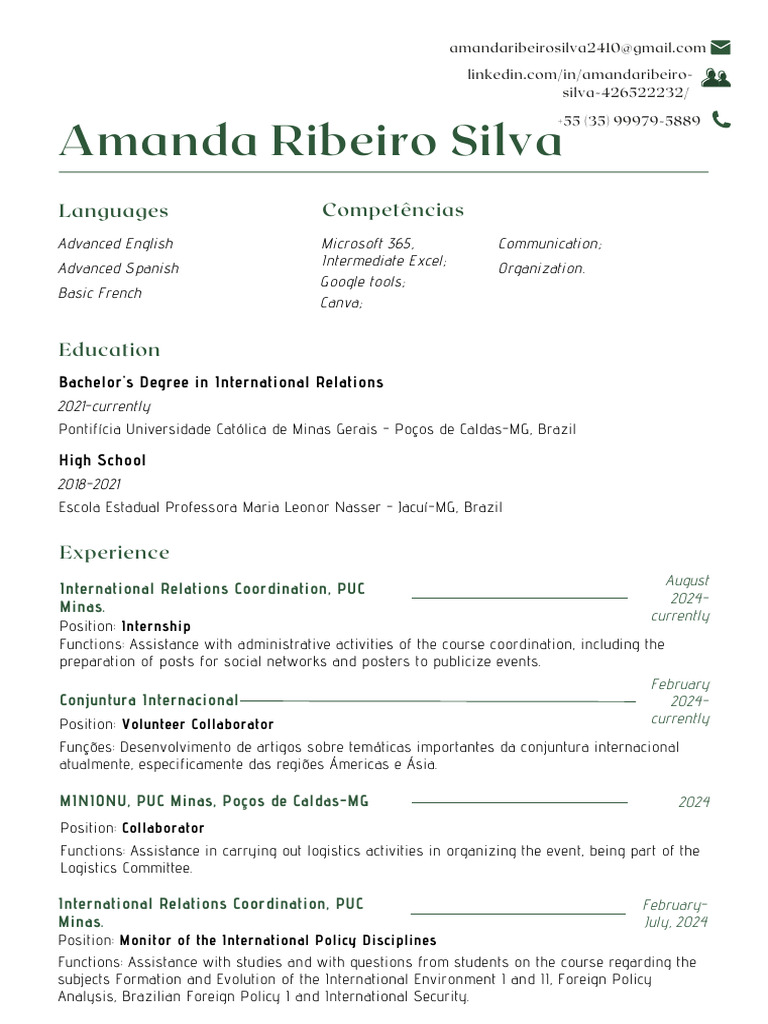 Curriculum Vitae English | PDF