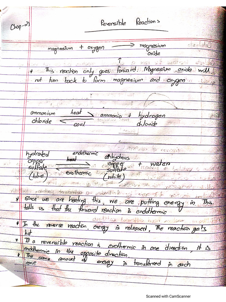 Reversible Reaction | PDF