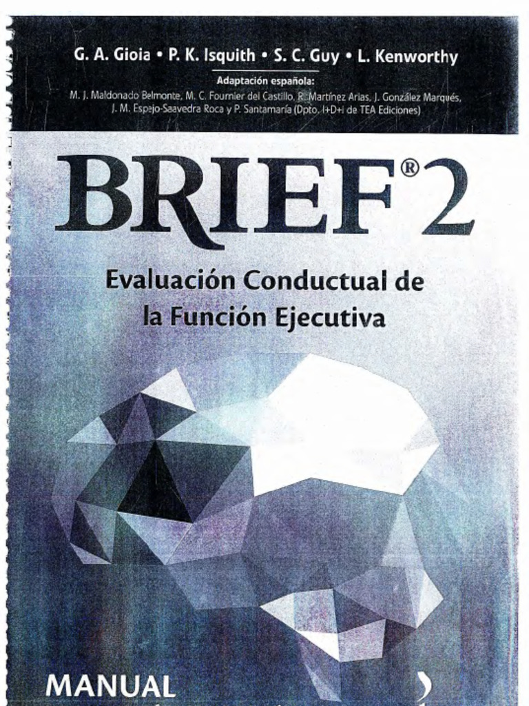 Brief 2 - Manual 1 | PDF