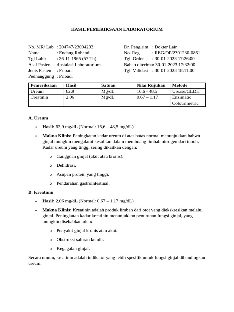 Hasil Pemeriksaan Laboratorium | PDF