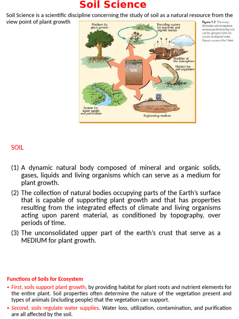 Branches of Soil Science | PDF | Soil | Plants