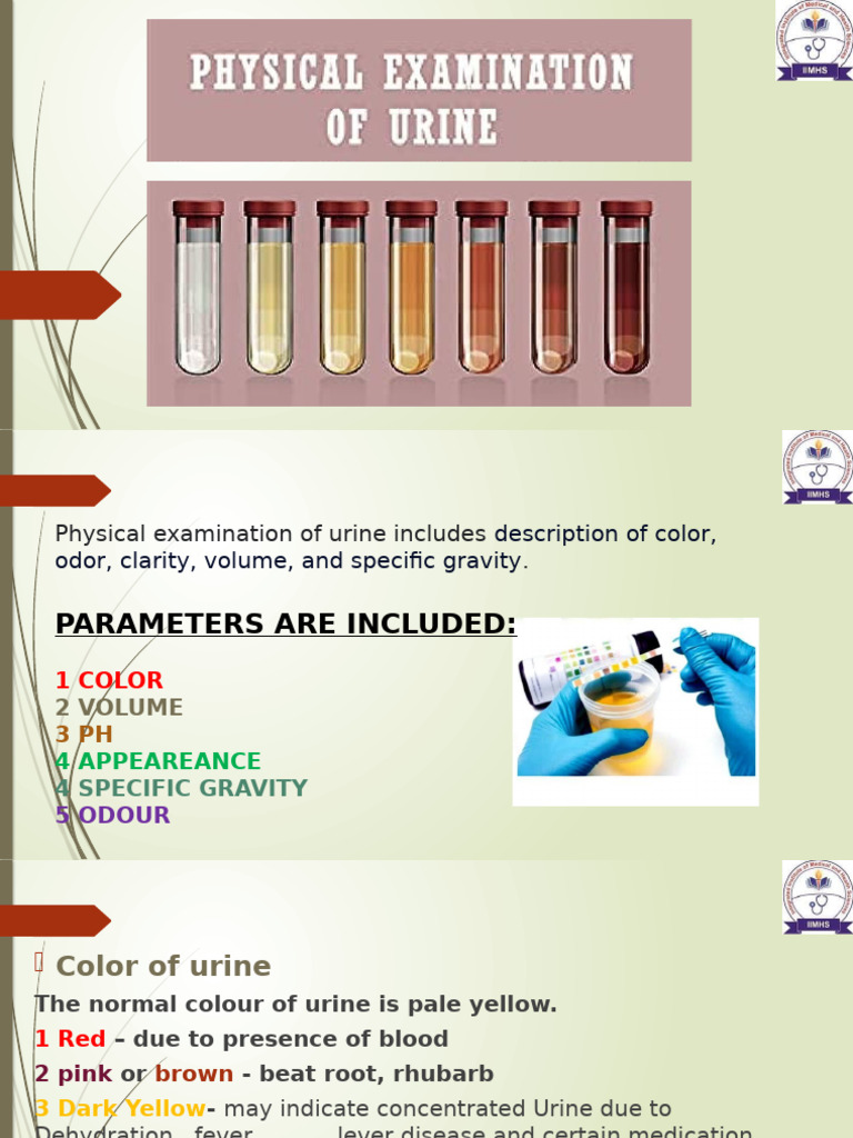 13 Physical Examination of Urine | PDF