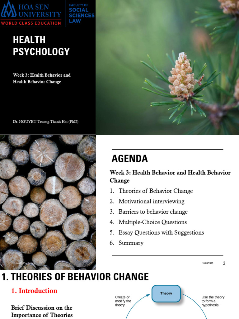 Health Behavior Change Theories Overview | PDF | Self Efficacy | Motivation