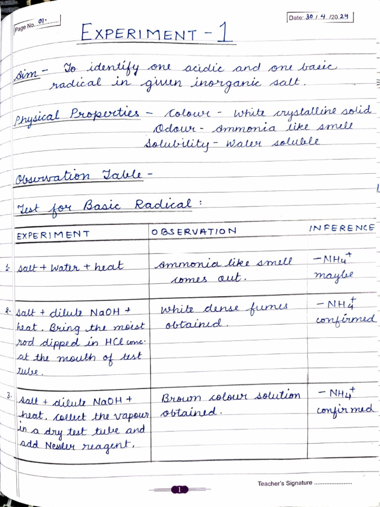 Chemistry Practicals | PDF