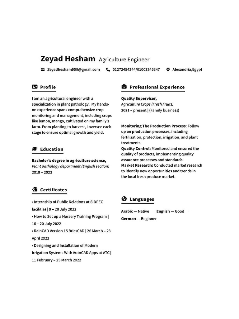 Zeyad Hesham Ahmed | PDF