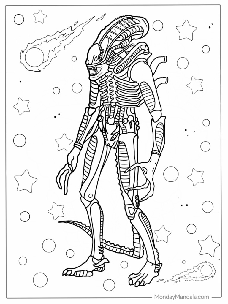 Xenomorph-Alien-From-Ridley-Scott-Movie-For-Adults | PDF