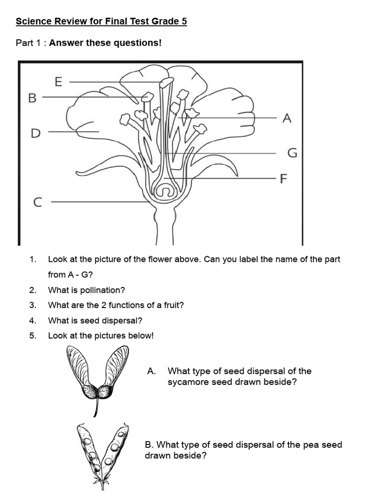 Science - Review Questions For Final Test | PDF
