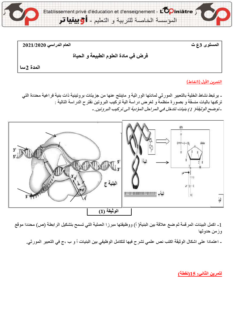 Dzexams 3as Sciences 1576696 | PDF