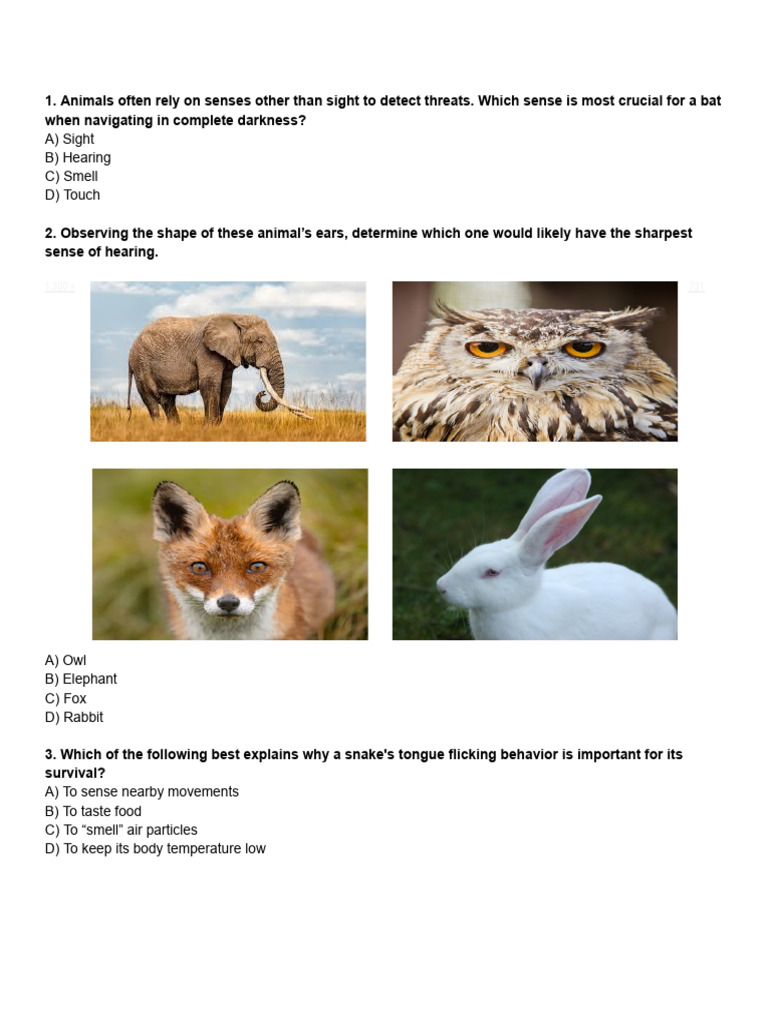 5 - SEE paper | PDF | Water | Digestion