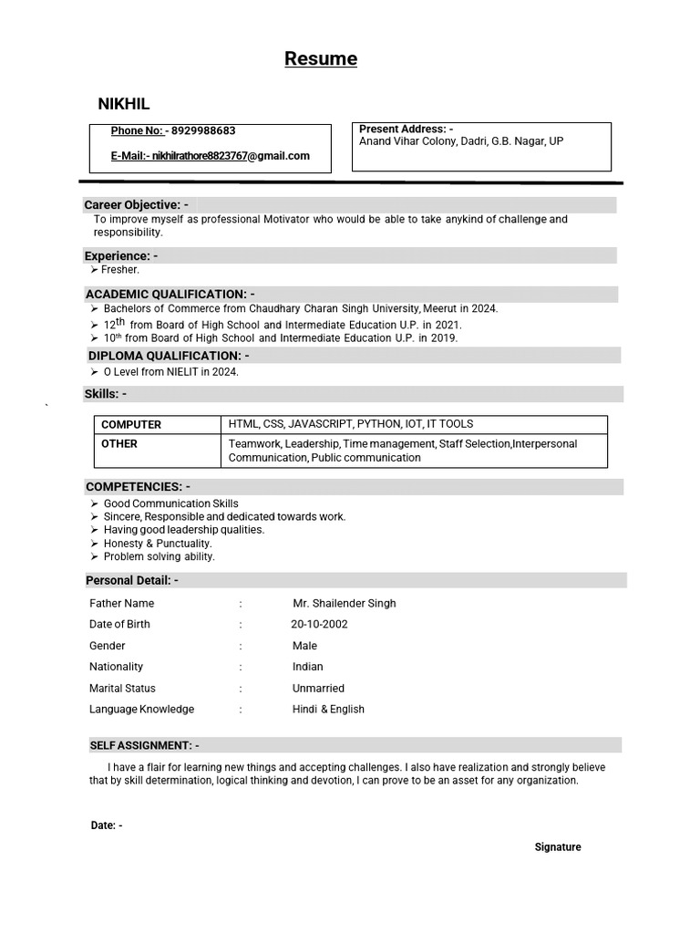 Nikhil Resume | PDF