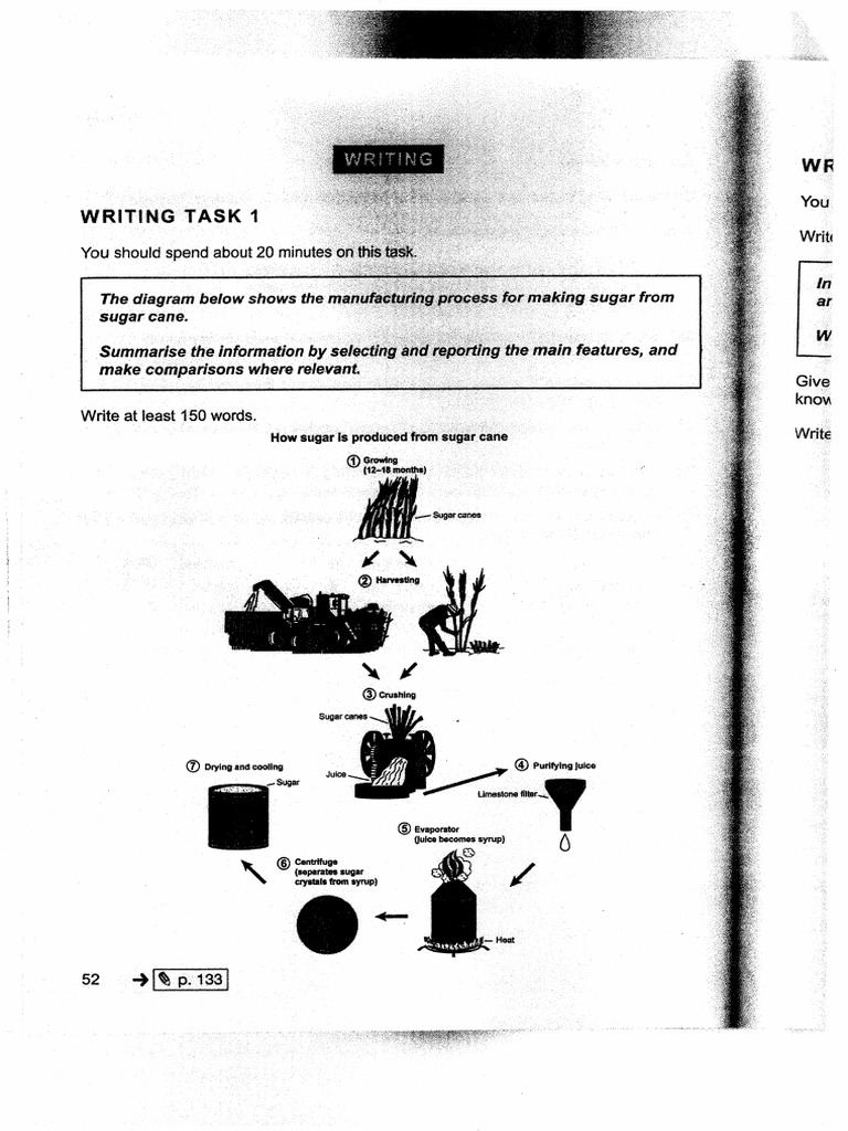 WT1 Review Processes | PDF