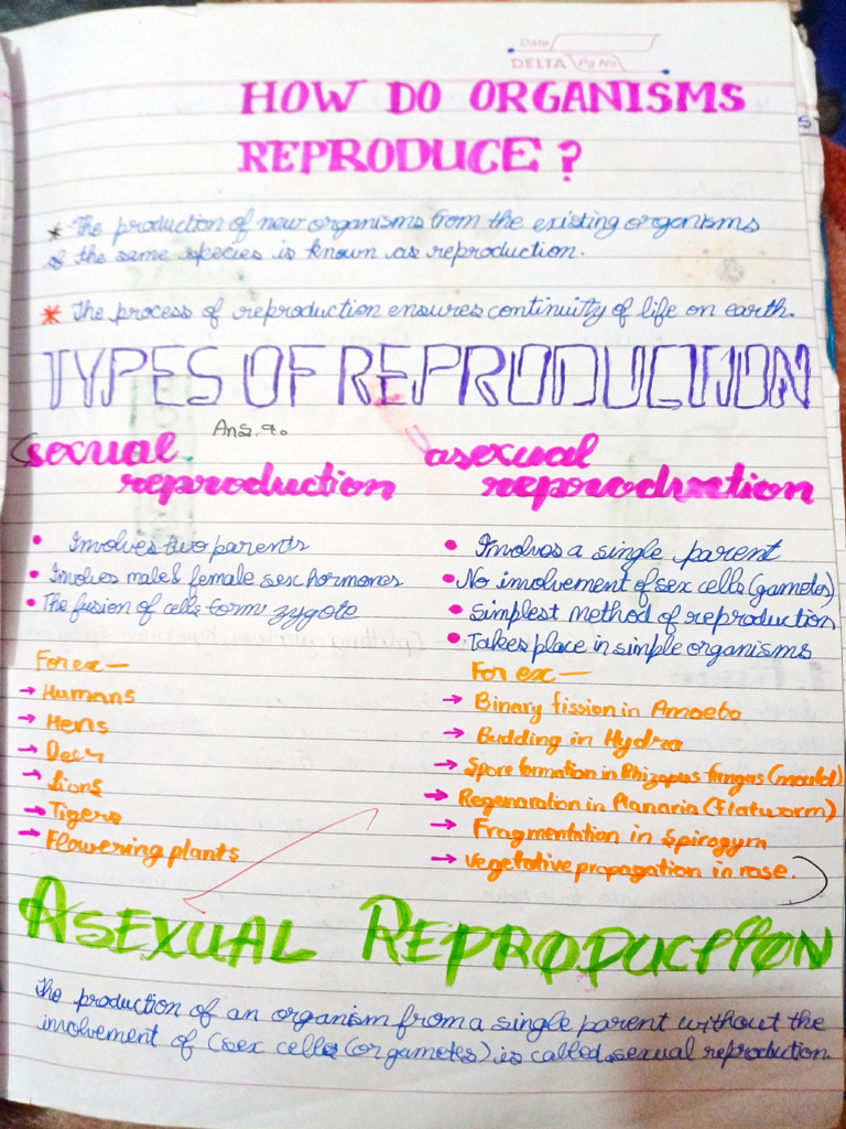 Science Reproductive CH Handmade Notes | PDF | Uterus | Flowers