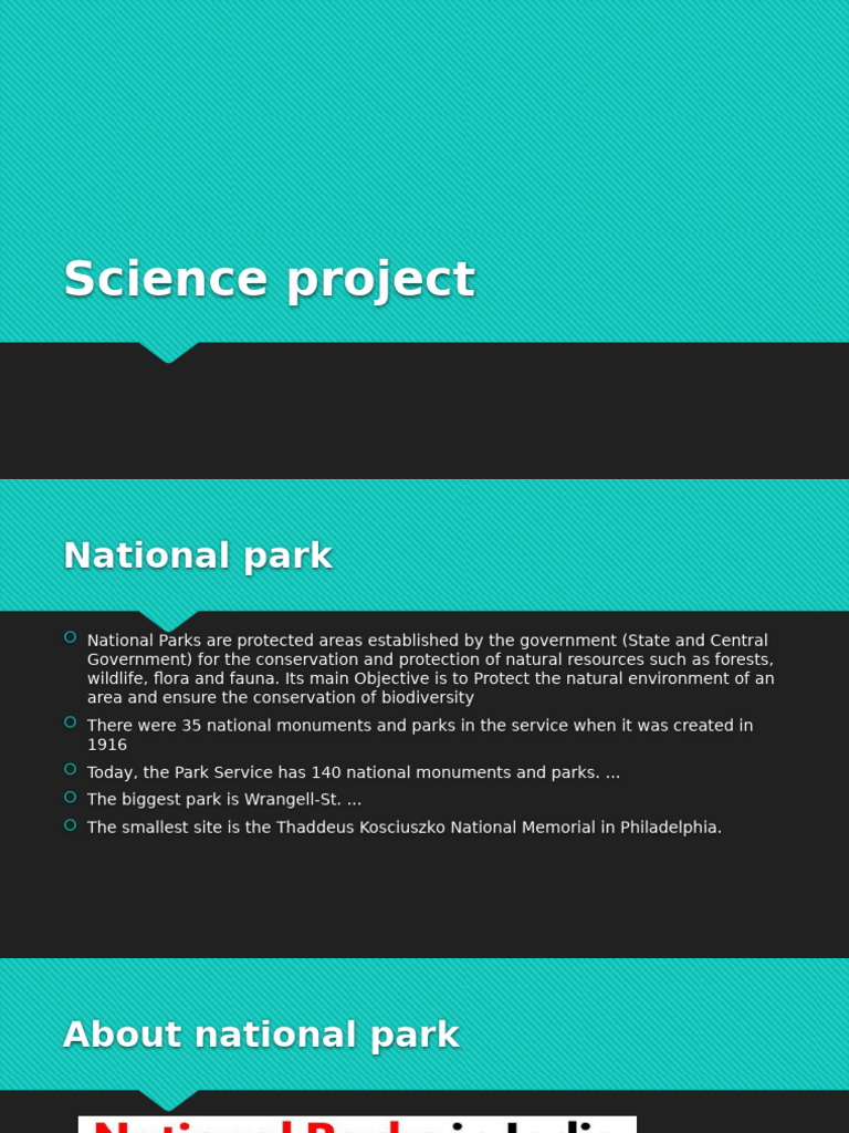 Science Project | PDF