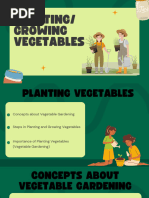 LSU-Ag Planting Guide | PDF | Vegetables | Fertilizer