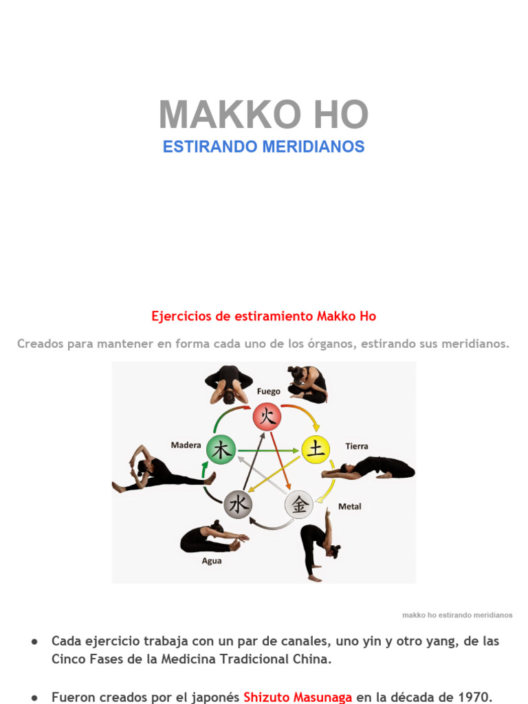 MAKKO HO ESTIRANDO MERIDIANOS | PDF | Pelvis