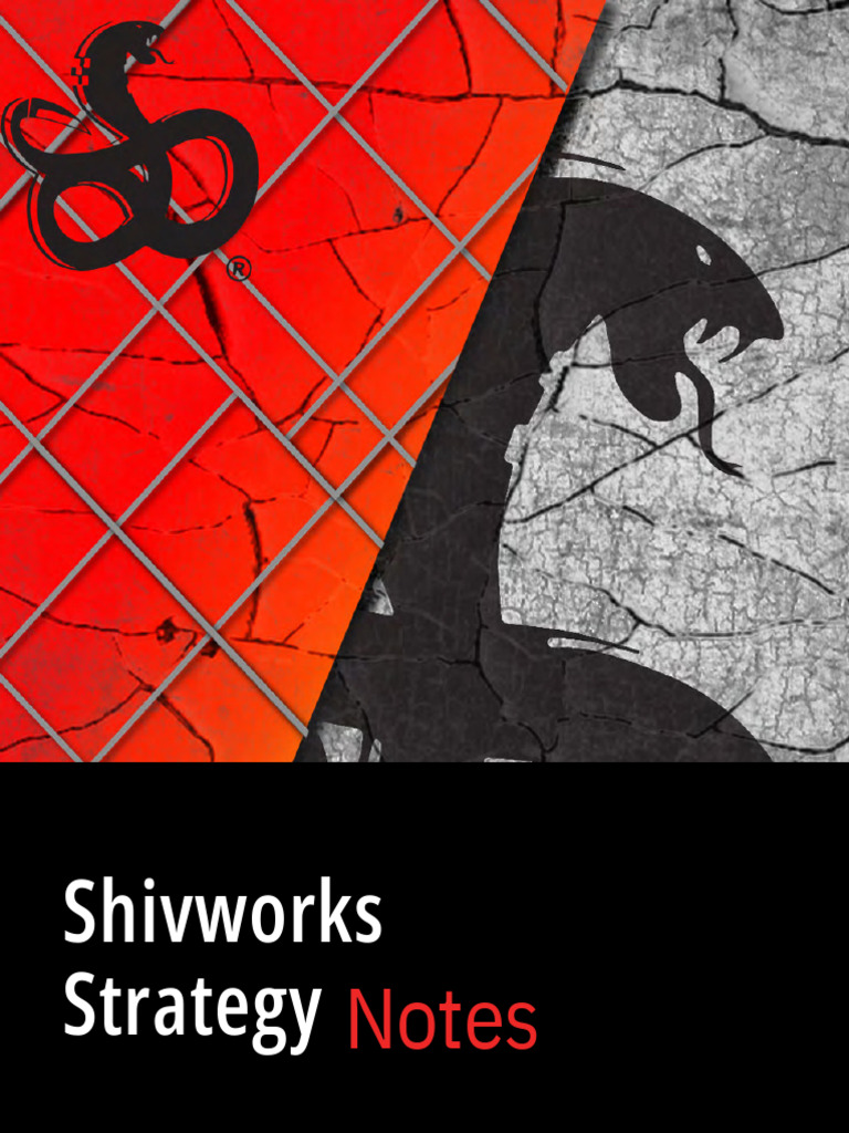 Shivworks Strategy Bullets | PDF