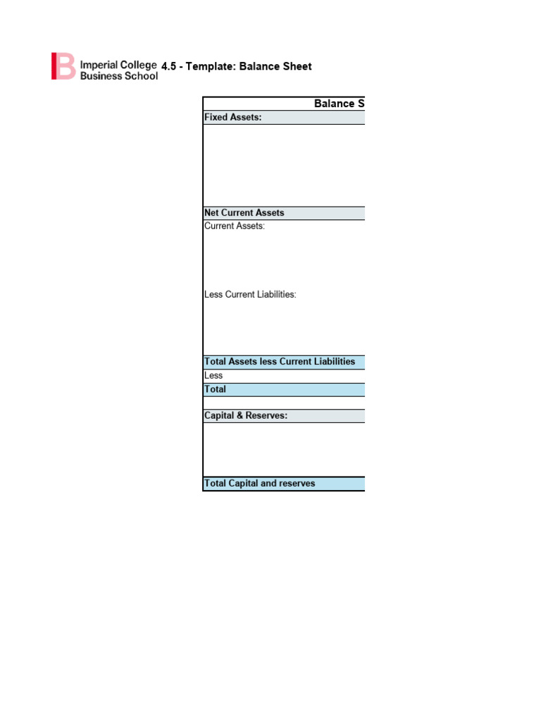 Preparing-Balance Sheet Modele | PDF