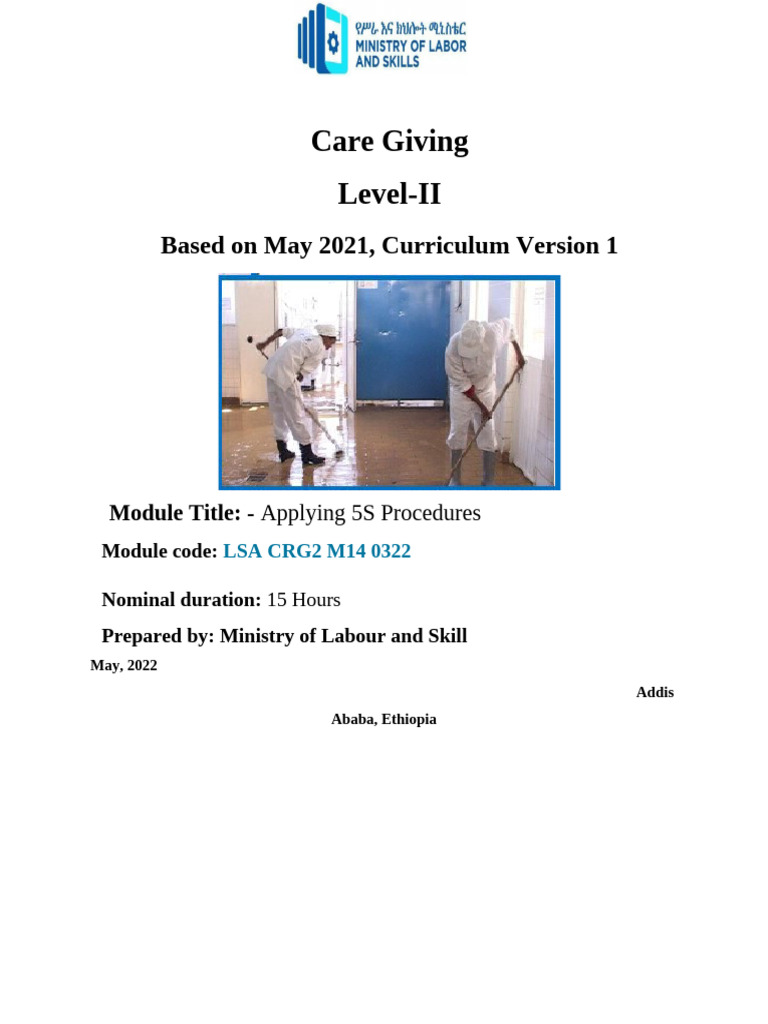 5s Pdf Lean Manufacturing Standardization