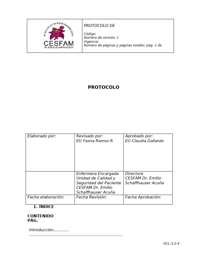 PROTOCOLO EN BLANCO | PDF