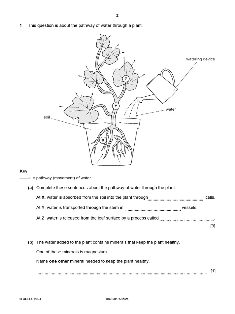 Science 5 | PDF | Sex | Carbon
