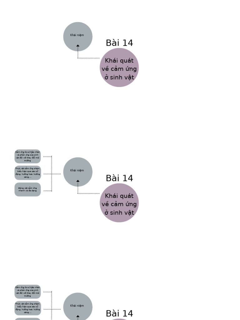 Purple Colorful Organic Mind Map Brainstorm | PDF