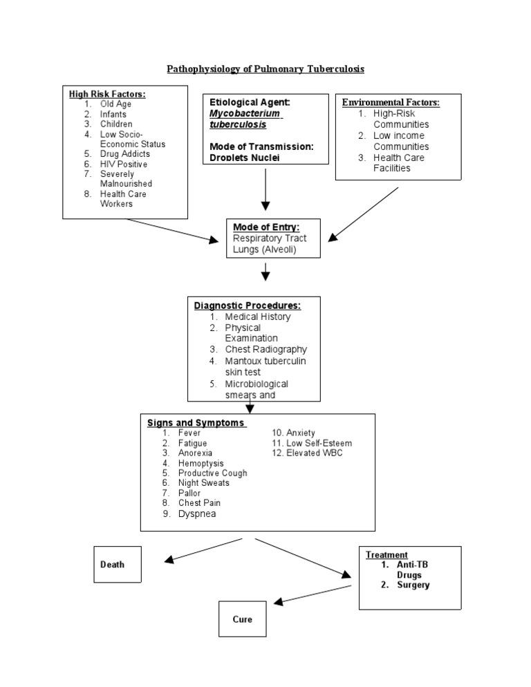 Pathophysiology of Pulmonary Tuberculosis | PDF