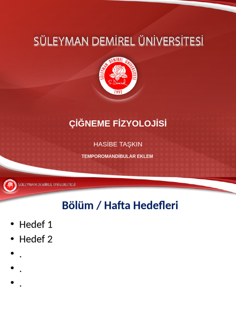 Tme Anatomi̇si̇ | PDF