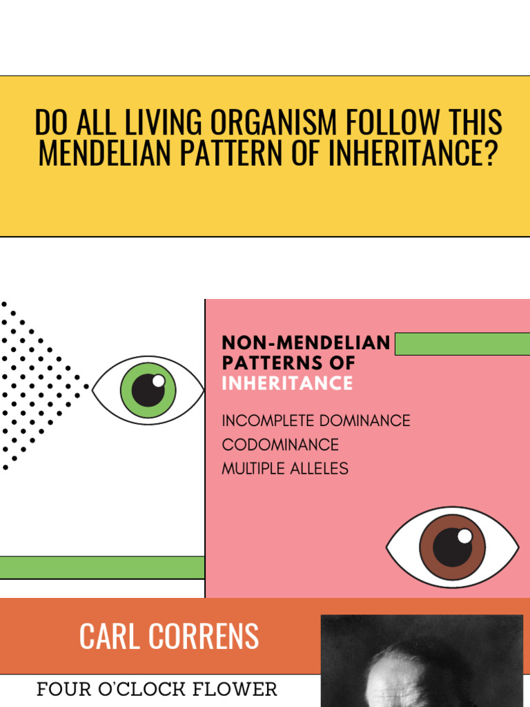 Non-Mendelian-Pattern-of-Inheritance | PDF | Dominance (Genetics) | Genotype