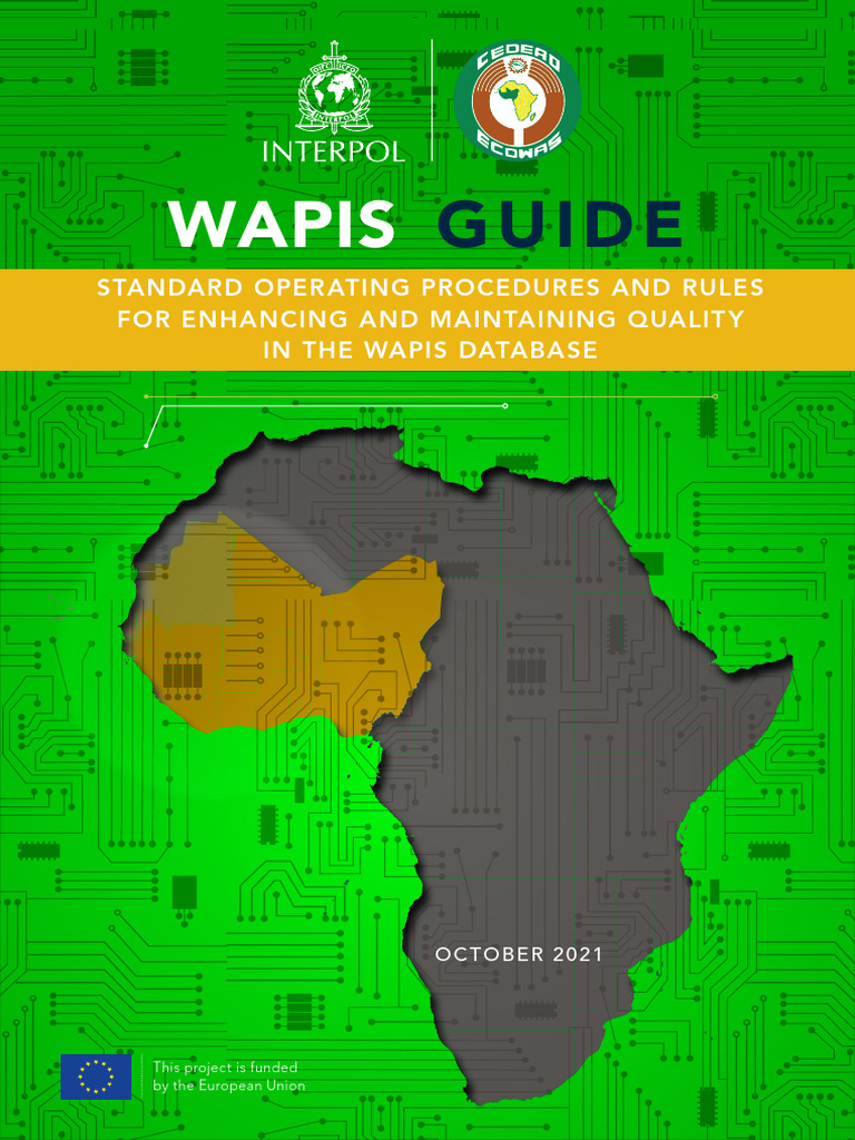Wapis - Data Quality Guide_en | PDF | Audit | Quality Management System