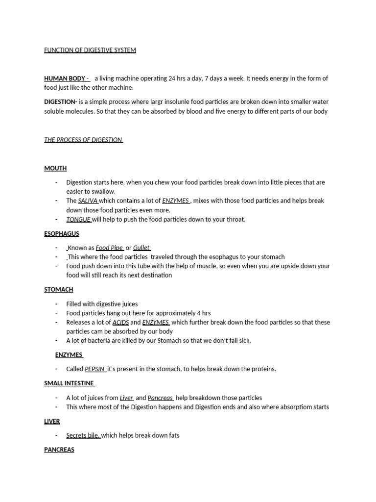 Function of Digestive System | PDF | Digestion | Human Digestive System
