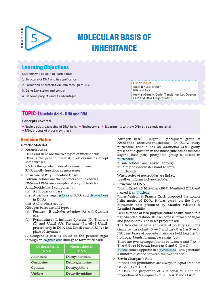 Molecular Basis of Inheritance | PDF | Dna | Rna